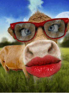 Home page [clubeblinko.pt]